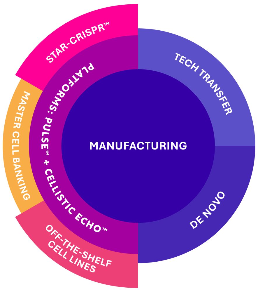 Cellistic: iPSC-based Cell Therapy Manufacturing