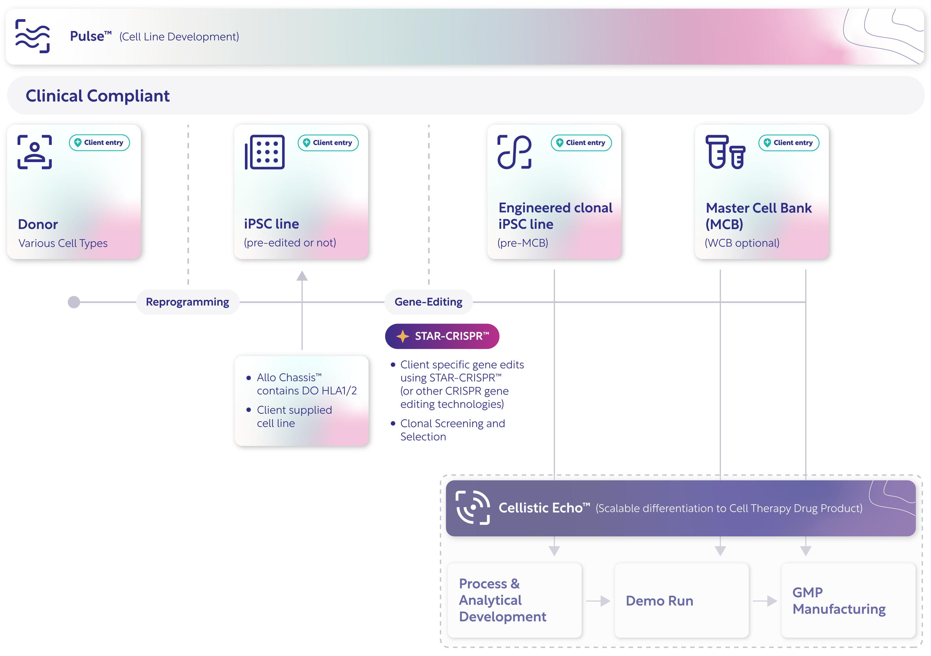 Pulse™ Cell Line Development Platform | Cellistic